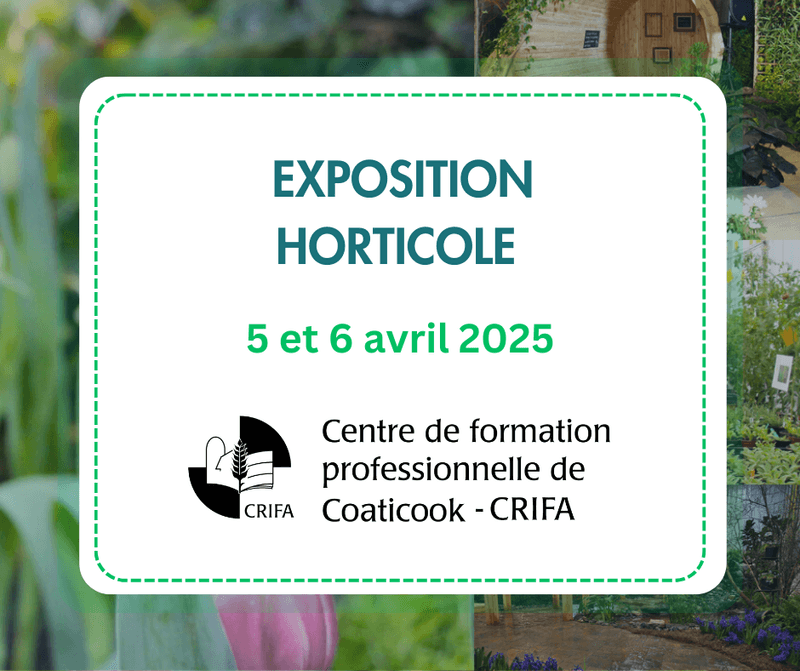 L’Effet FP : La formation professionnelle en Estrie